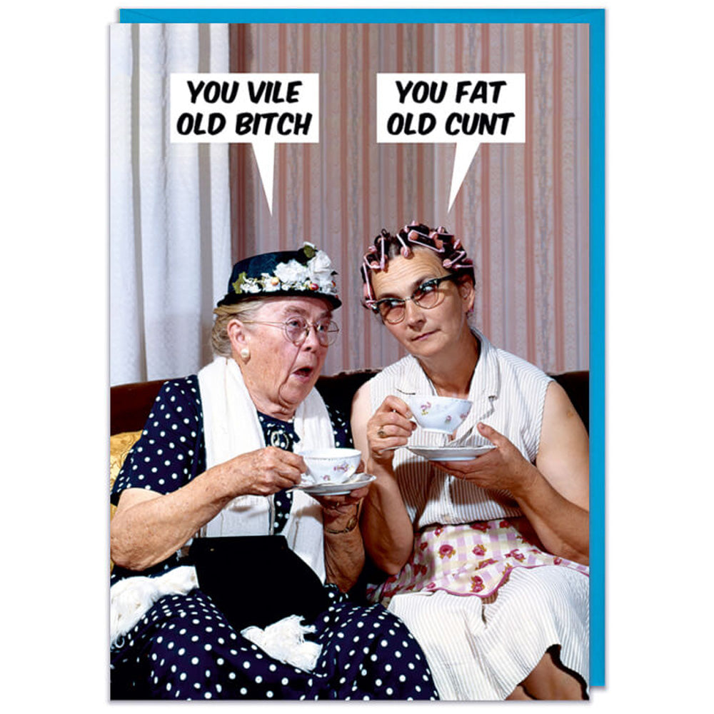 You Vile Old B*tch - Greetings Card – www.gayprideshop.co.uk