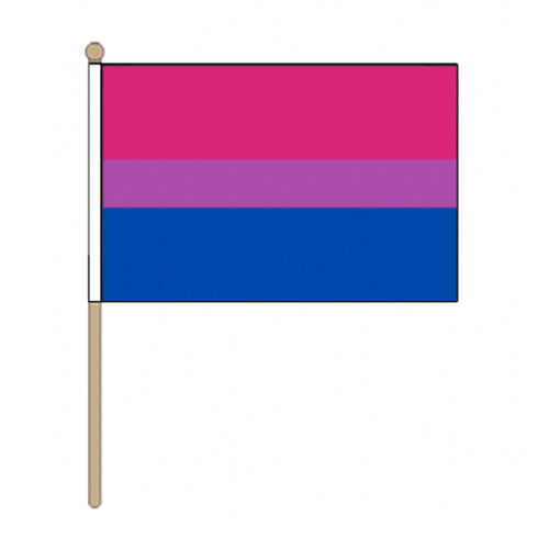 Bisexual Pride Hand Held Flag (22.5cm x 15cm) – www.gayprideshop.co.uk