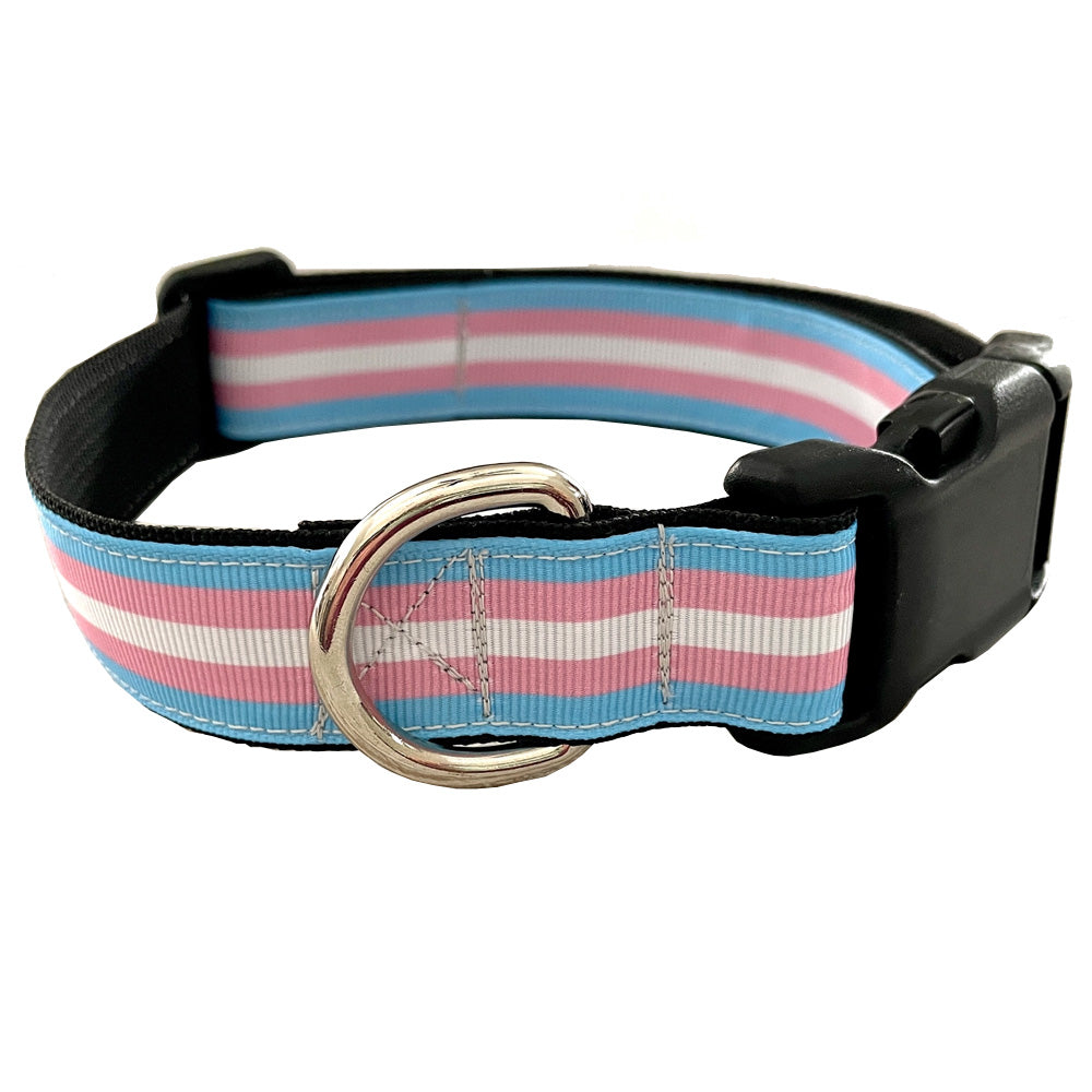 Transgender Dog Collar – www.gayprideshop.co.uk